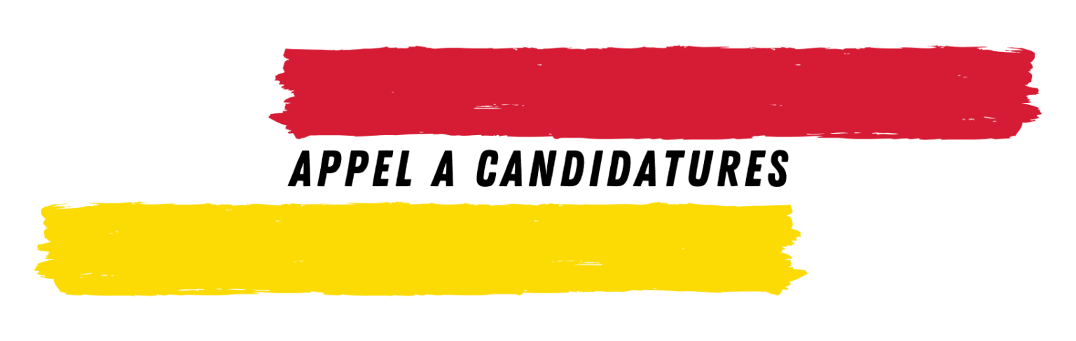 Assemblée Générale du Comité Régional 2026 : Appel à candidatures ...